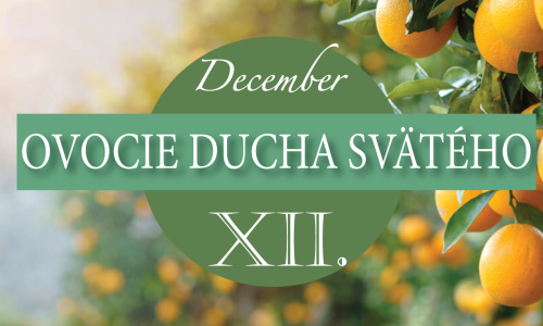 12. katechéza na mesiac december - Rok ovocia Ducha Svätého ...